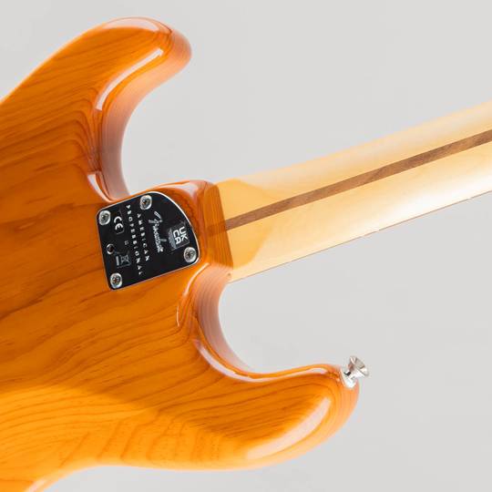 American Professional II Stratocaster/Roasted Pine/R【S/N:US23033627】: エレキギター｜三木楽器公式通販サイト